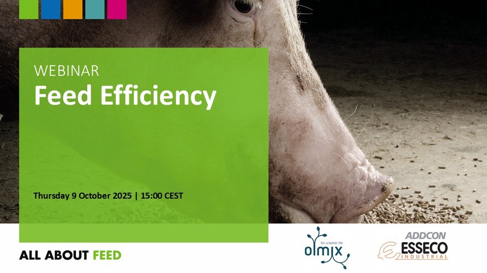 Webinar – Feed Efficiency